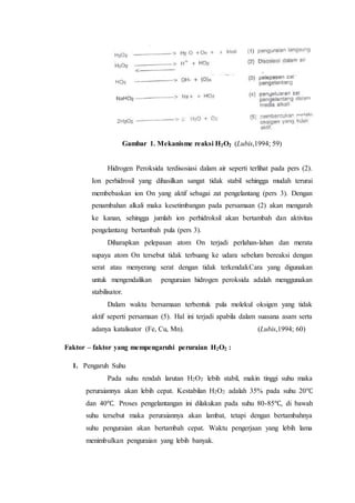 Bu Ainur - Proses Pengelantangan H2O2 | DOCX