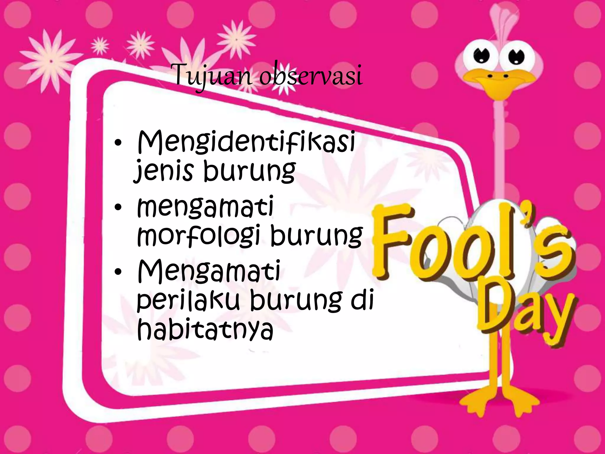 Identifikasi Burung | PPTX