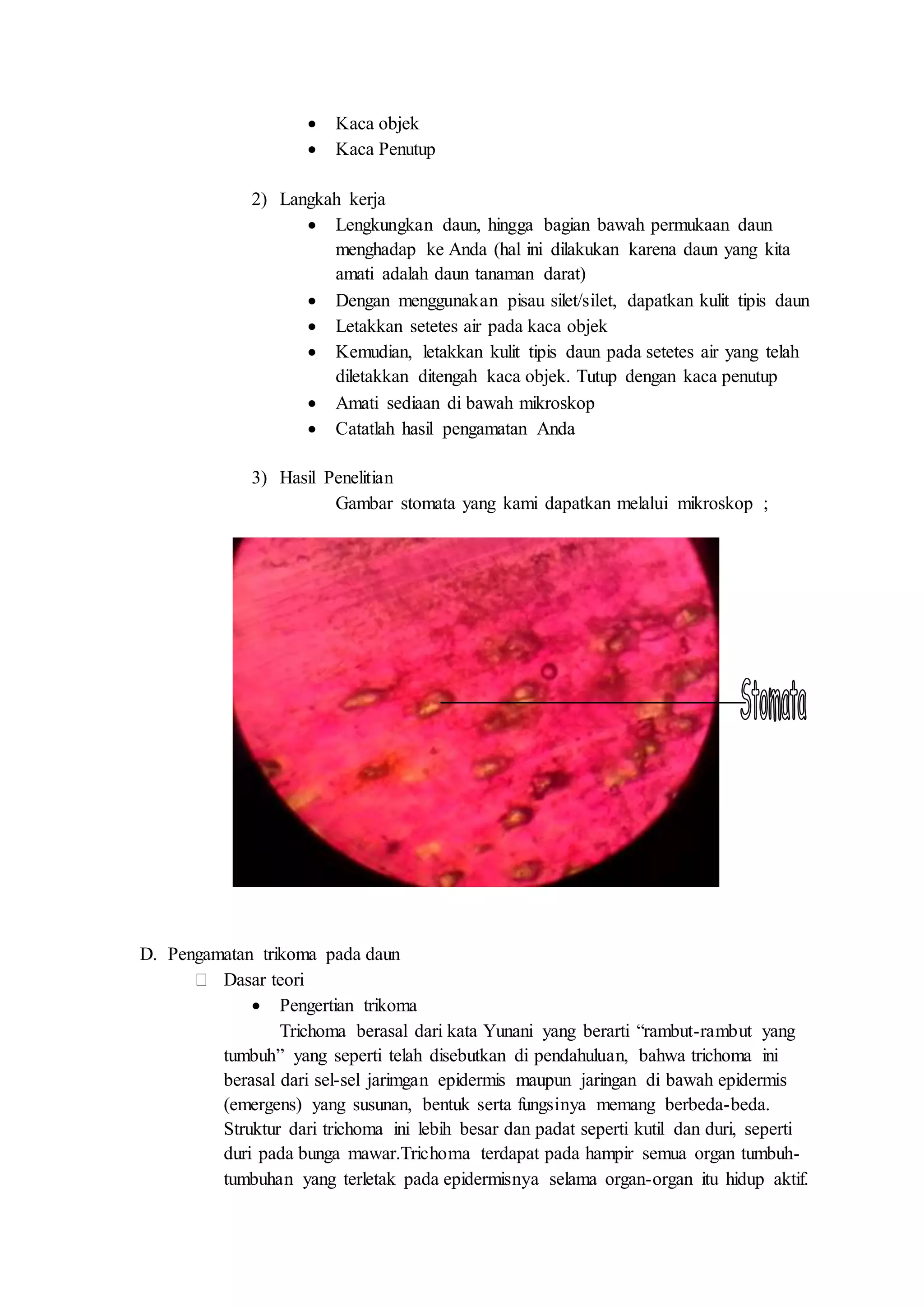 Laporan hasil praktikum | DOCX
