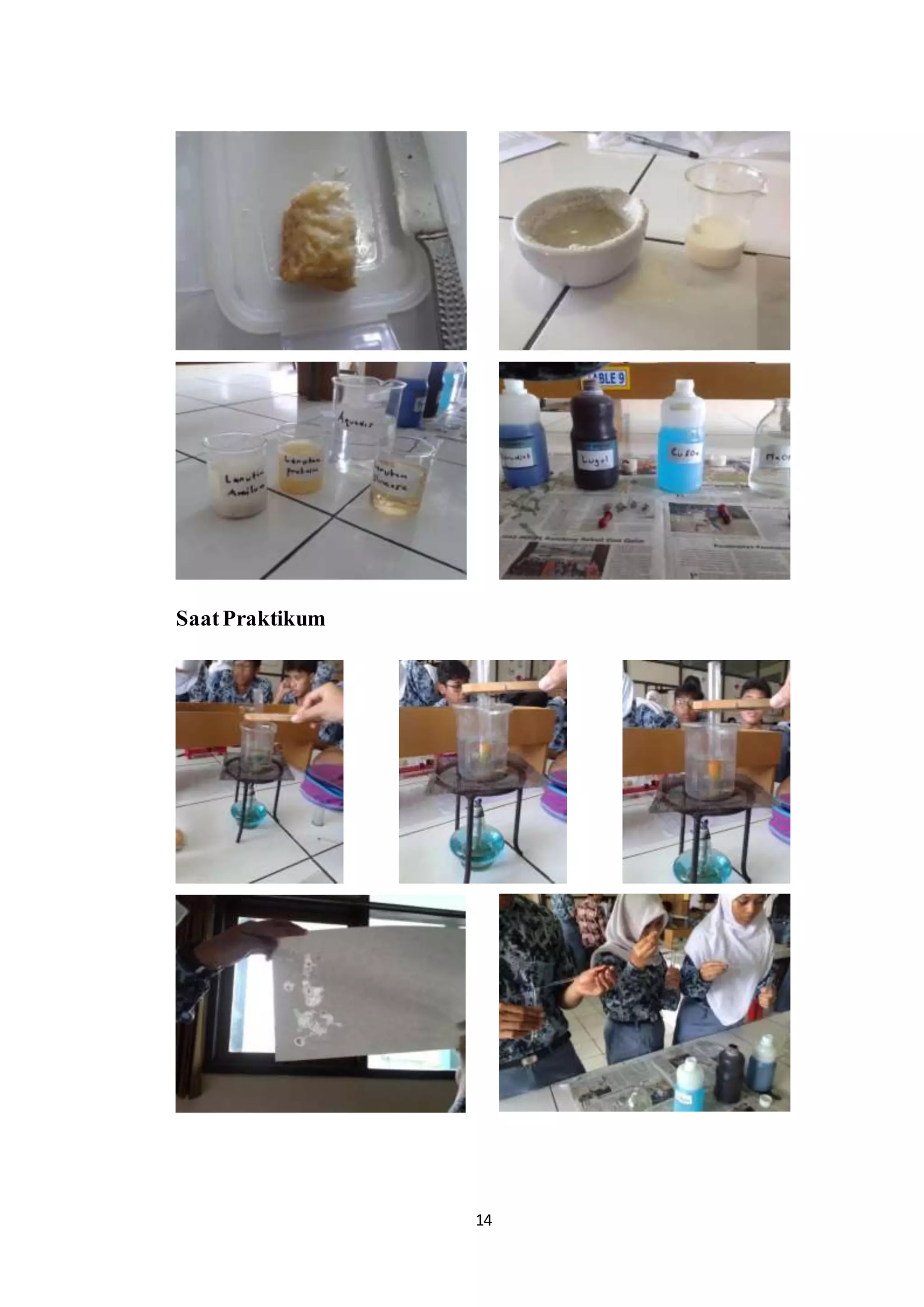 Laporan Hasil Praktikum Biologi Uji Makanan | DOCX