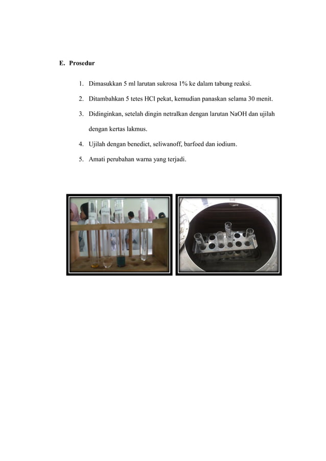 Laporan hidrolisis sukrosa | PDF