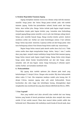 Laporan produksi tanaman jagung | DOC