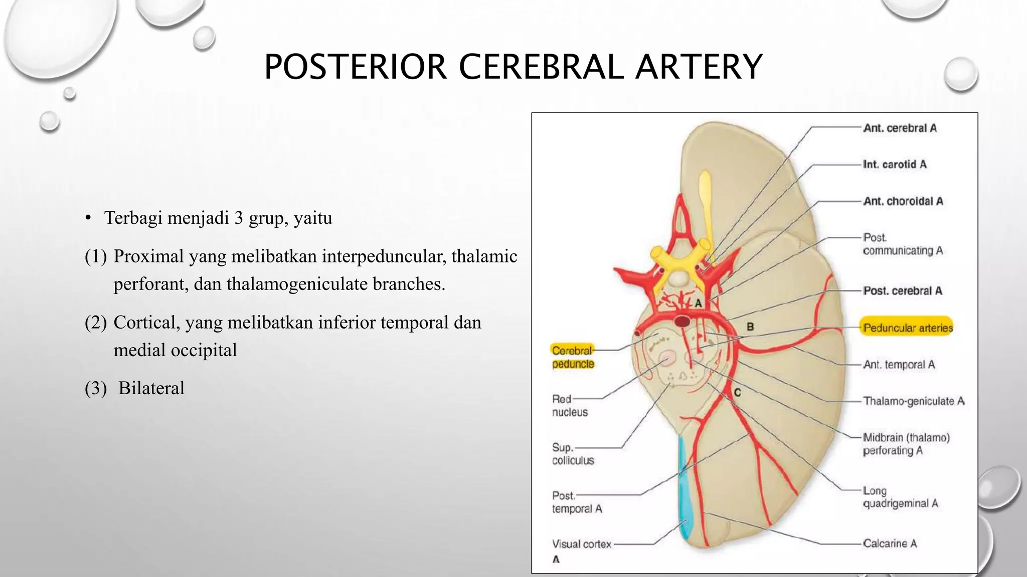 laporan kasus - STROKE NON HEMORAGIK.pptx
