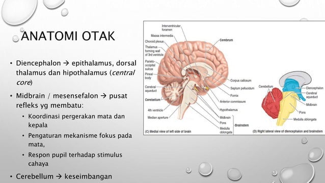 laporan kasus - STROKE NON HEMORAGIK.pptx