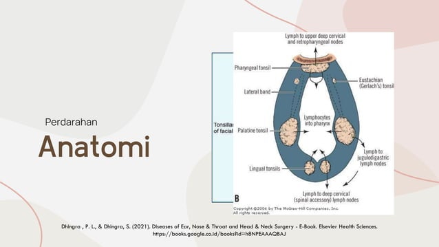 Laporan Kasus - Tonsilitis Kronik Eksaserbasi Akut.pptx