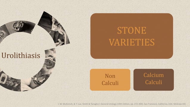 Laporan Kasus Vesicolithiasis di Rumah Sakit | PPT