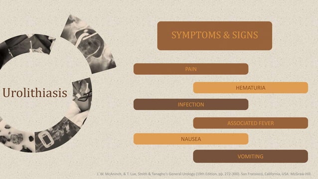 Laporan Kasus Vesicolithiasis di Rumah Sakit | PPT