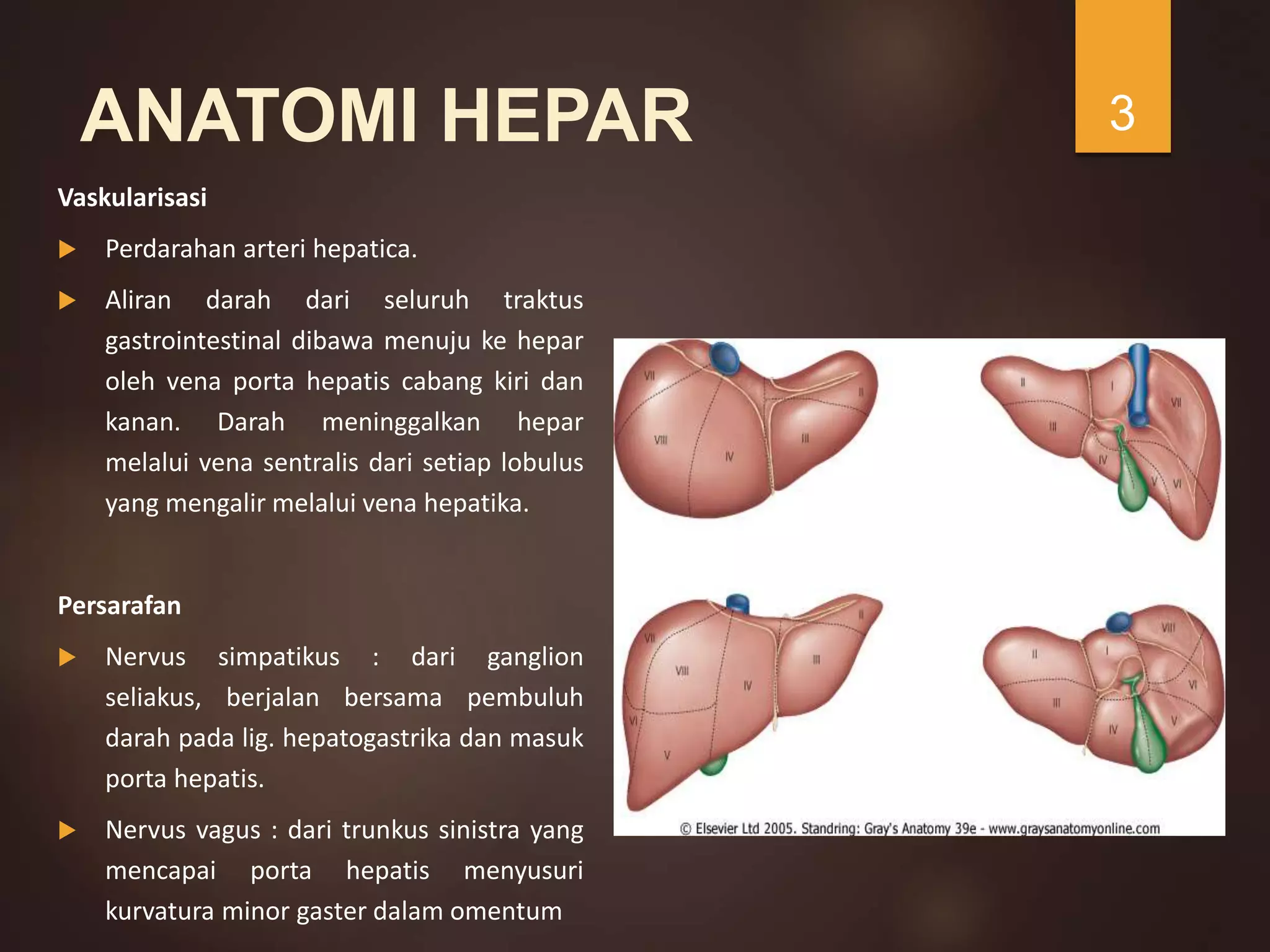 Laporan Kasus Abses Hepar-dr.pptx