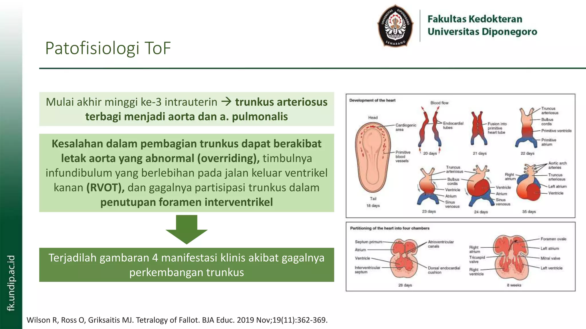 laporan kasus anestesi TOF.pptx