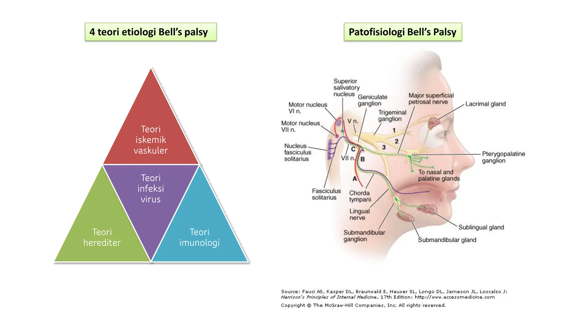 Laporan kasus bels palsy di uptd puskesmas | PDF