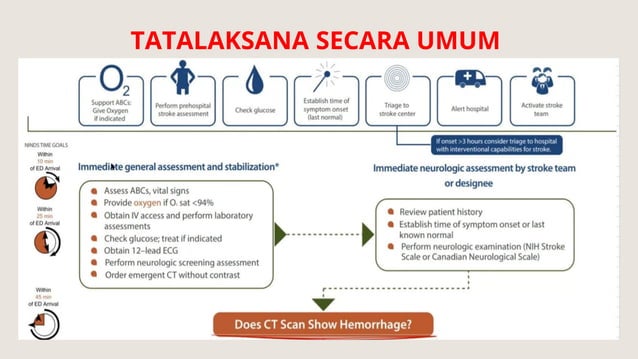 Laporan Kasus Faldi Vertigo Central ec susp stroke Infark | PDF