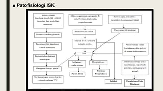 Laporan Kasus Infeksi Saluran Kencing - dr.Hafizh Al-Amanah.pptx