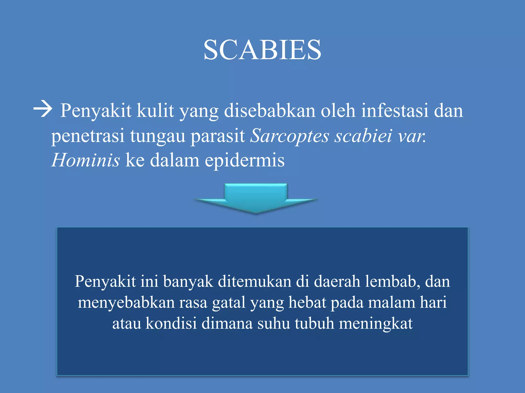 Laporan kasusScabies | PPTX