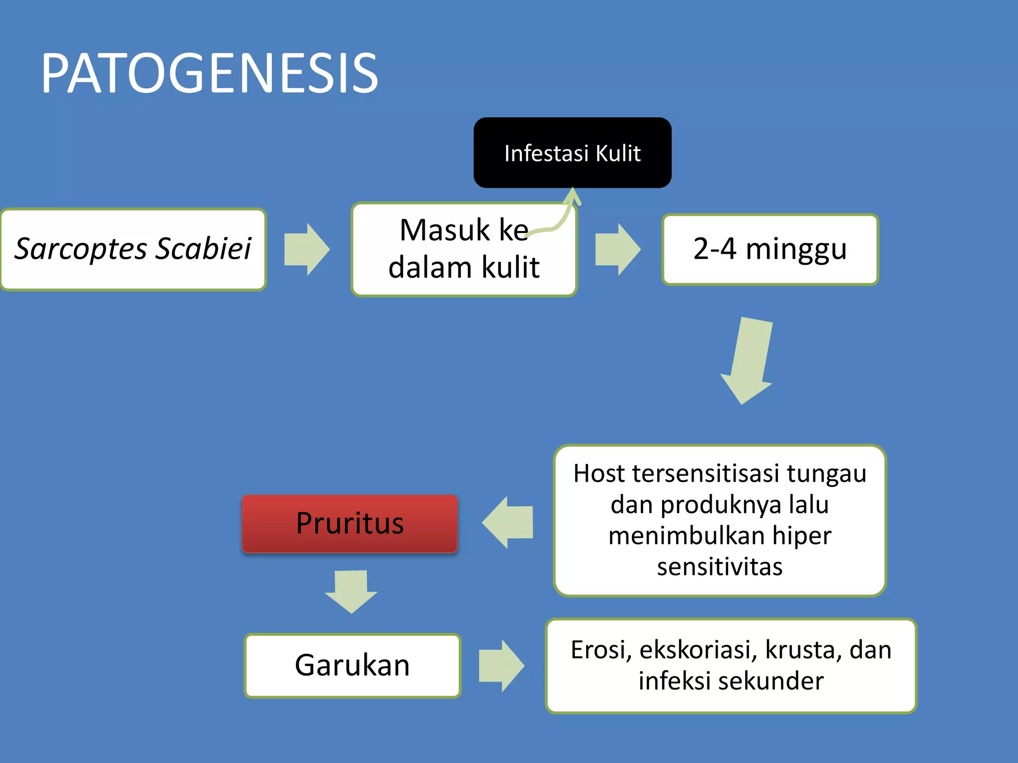 Laporan kasusScabies | PPTX