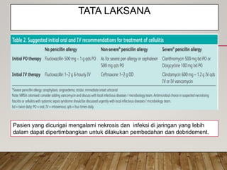 LAPORAN KASUS SELULITIS RSUD WAMENA_075010-1.pptx
