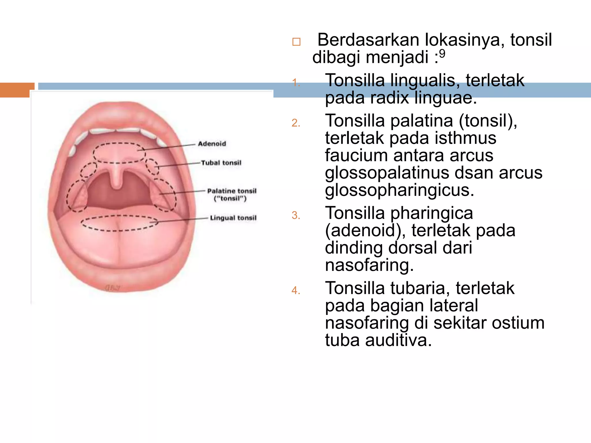 LAPORAN KASUS tonsiltis.pptx