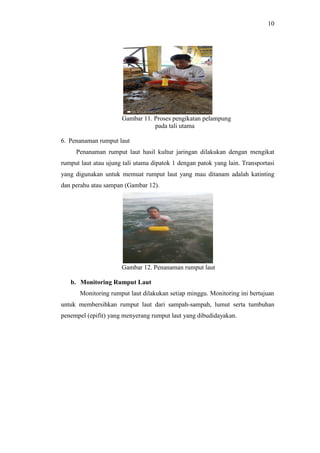 Laporan manajemen akuakultur laut 2019 | PDF