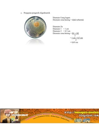 Laporan mikrobiologi daya kerja antimikroba | PDF