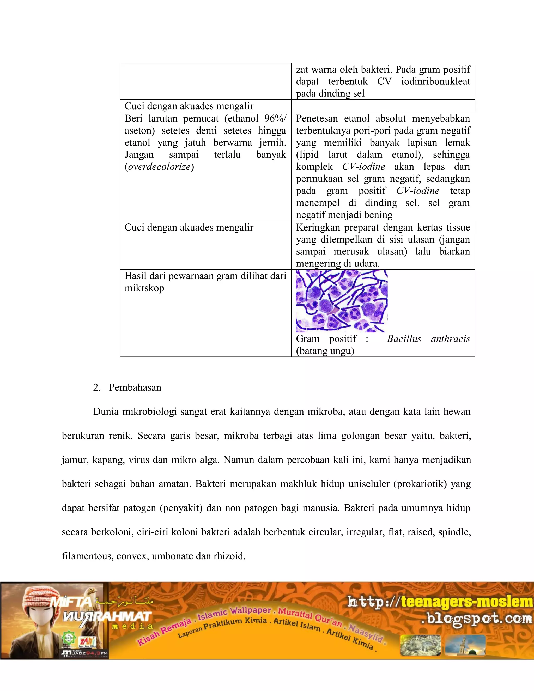 Laporan mikrobiologi morfologi mikroba | PDF