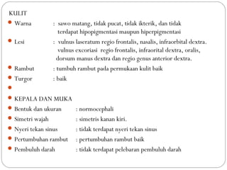 Laporan mingguan igd | PPT