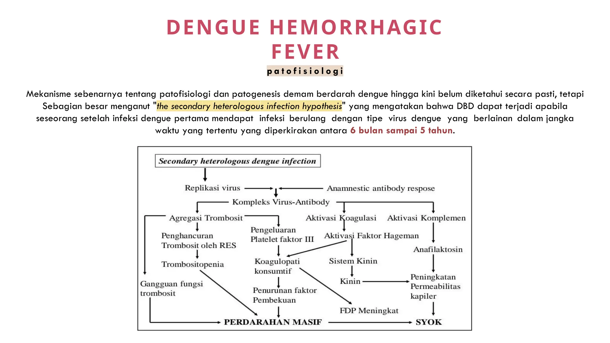 demam berdarah dengue (dengue hemmoragic fever) | PPTX