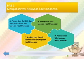 LAPORAN OBSERVASI.ppt