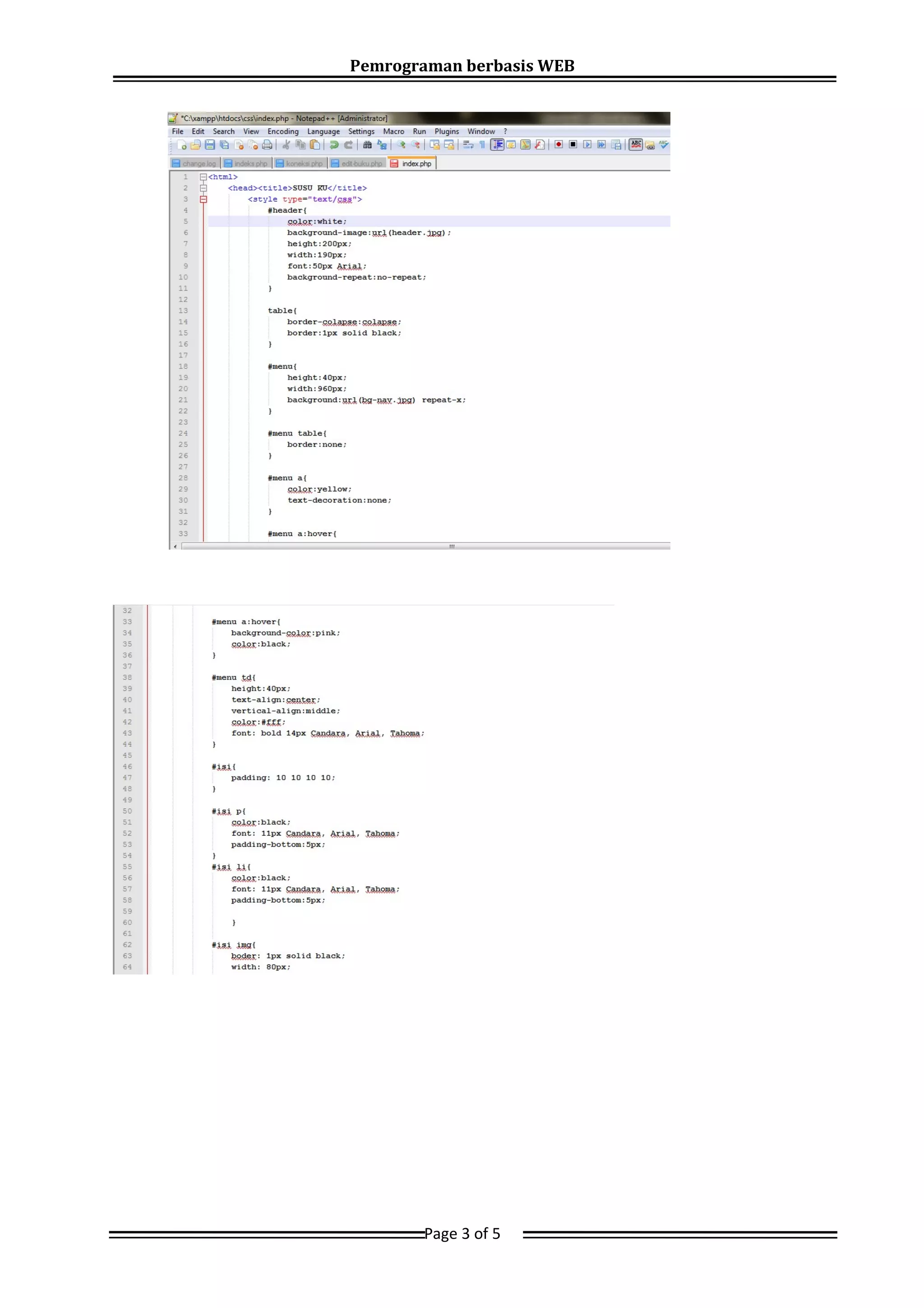 Laporan pbw CSS ferischa | DOC