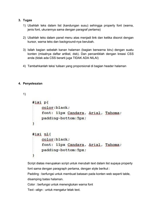 Laporan pemrograman berbasis web (CSS) | PDF