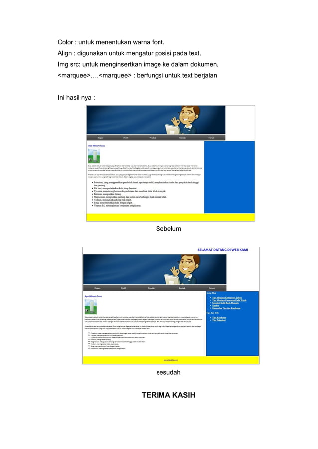 Laporan pemrograman berbasis web (CSS) | PDF