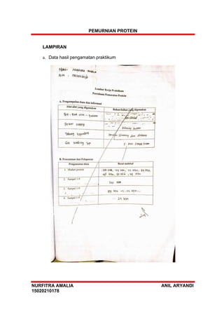 LAPORAN PEMURNIAN PROTEIN-NURFITRA AMALIA-178.pdf