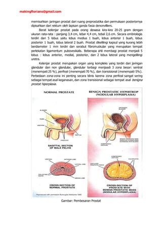 Laporan pendahuluan benign prostatic hyperplasia (bph) | DOCX