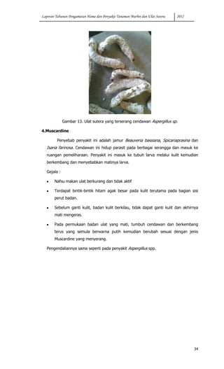 Laporan pengamatan hama dan penyakit ulat sutera dan murbei tahun 2012 ...