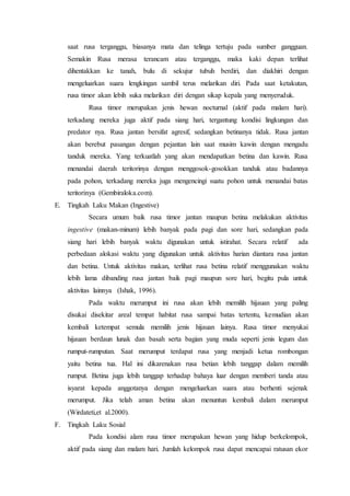 Laporan pengamatan perilaku rusa timor (Cervus Timorensis) | DOCX