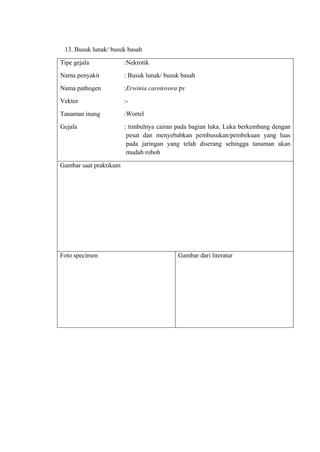 Laporan pengenalan penyakit | PDF