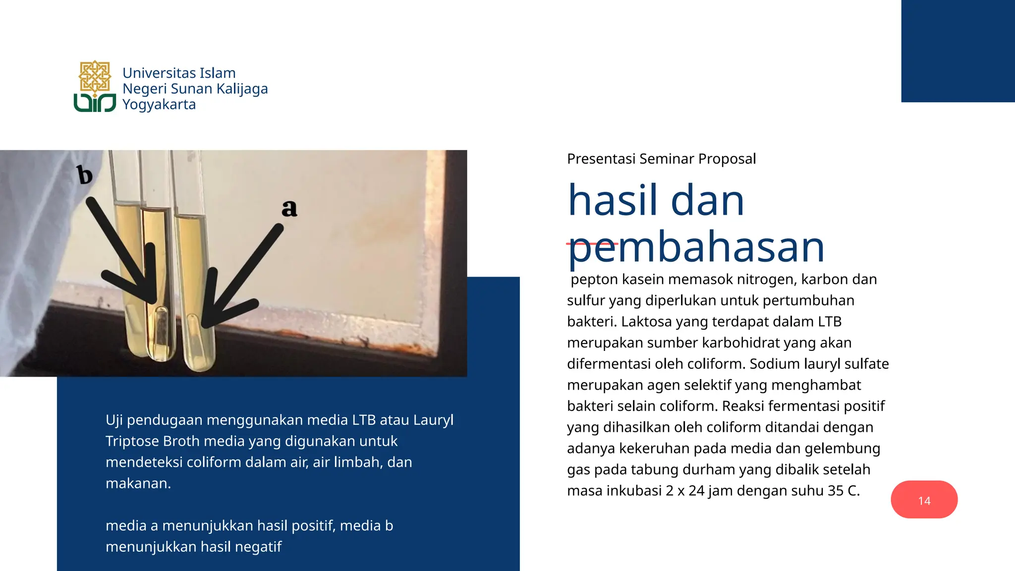 metode MPN deteksi cemarah bakteri koliform pada air sungai | PPTX