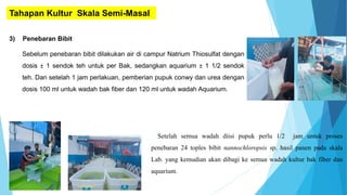 LAPORAN PKL - Teknik kultur Pakan alami Slide.pptx