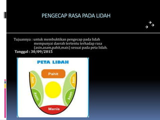 Laporan praktek indra pengecap oleh mirel | PPTX