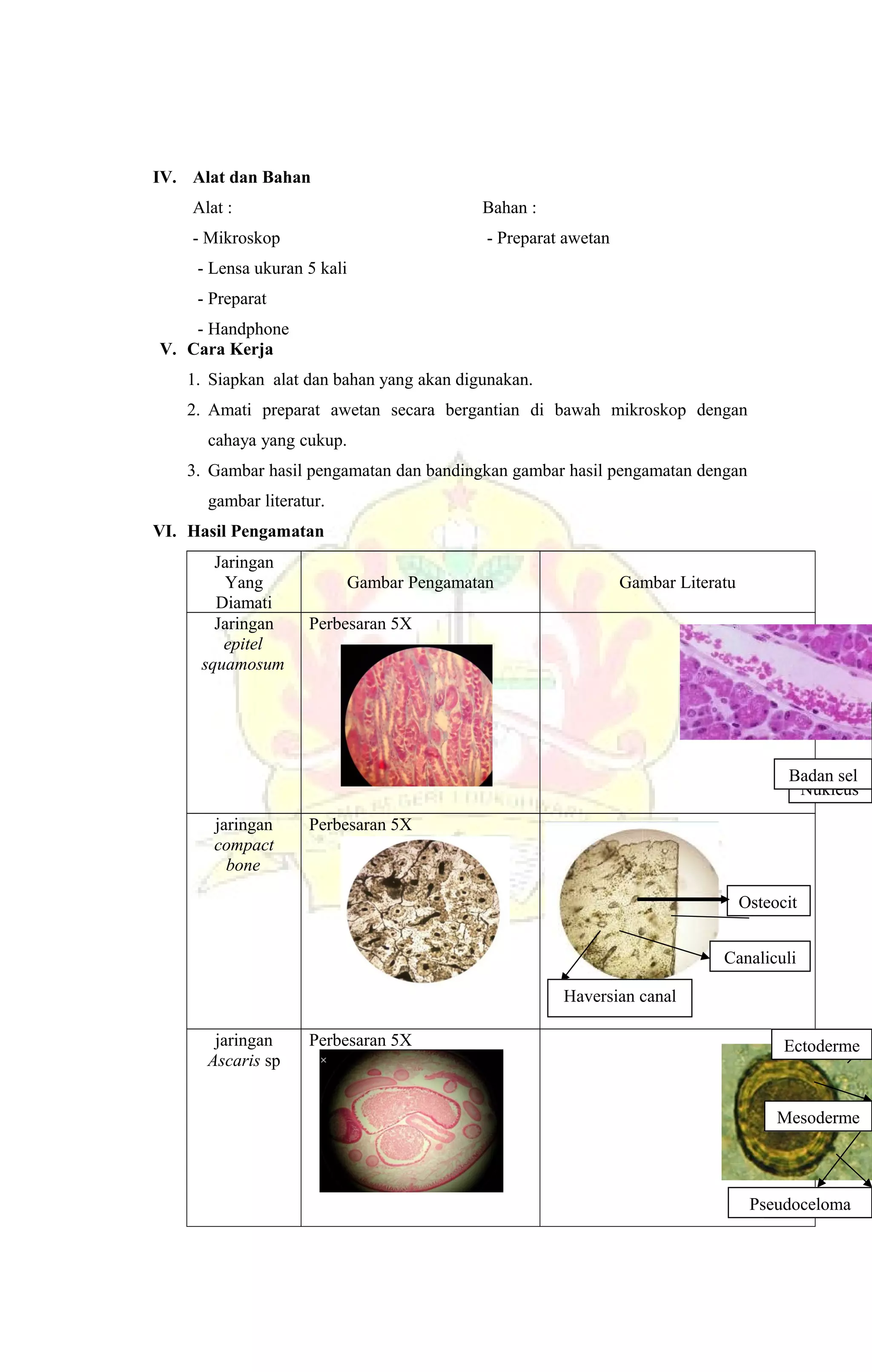 Laporan praktikum biologi | PDF