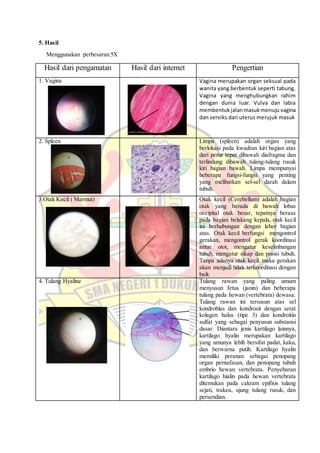 Laporan Praktikum XI IPA 3 | DOCX