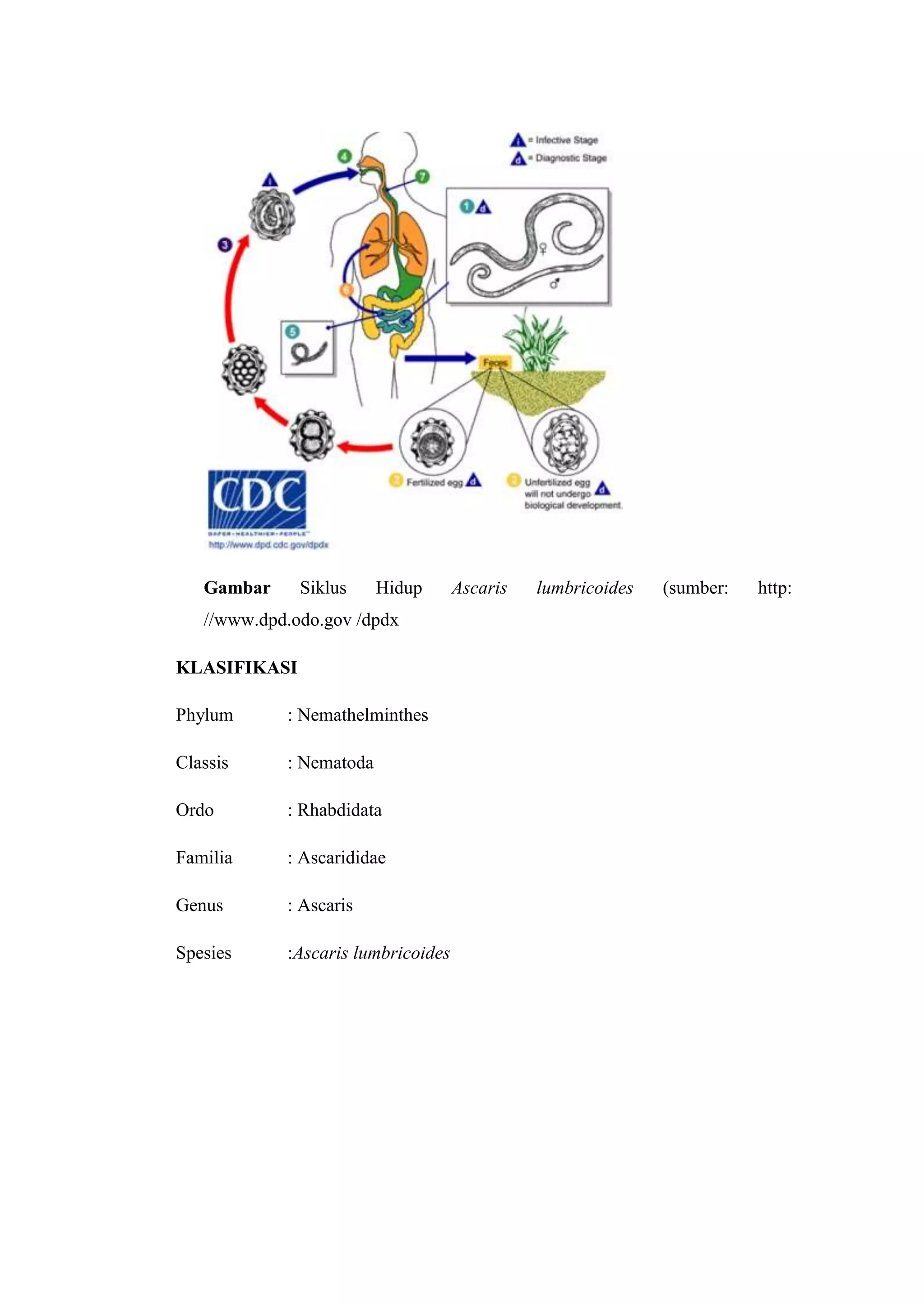 LAPORAN PRAKTIKUM PARASITOLOGI DASAR 1 | DOCX