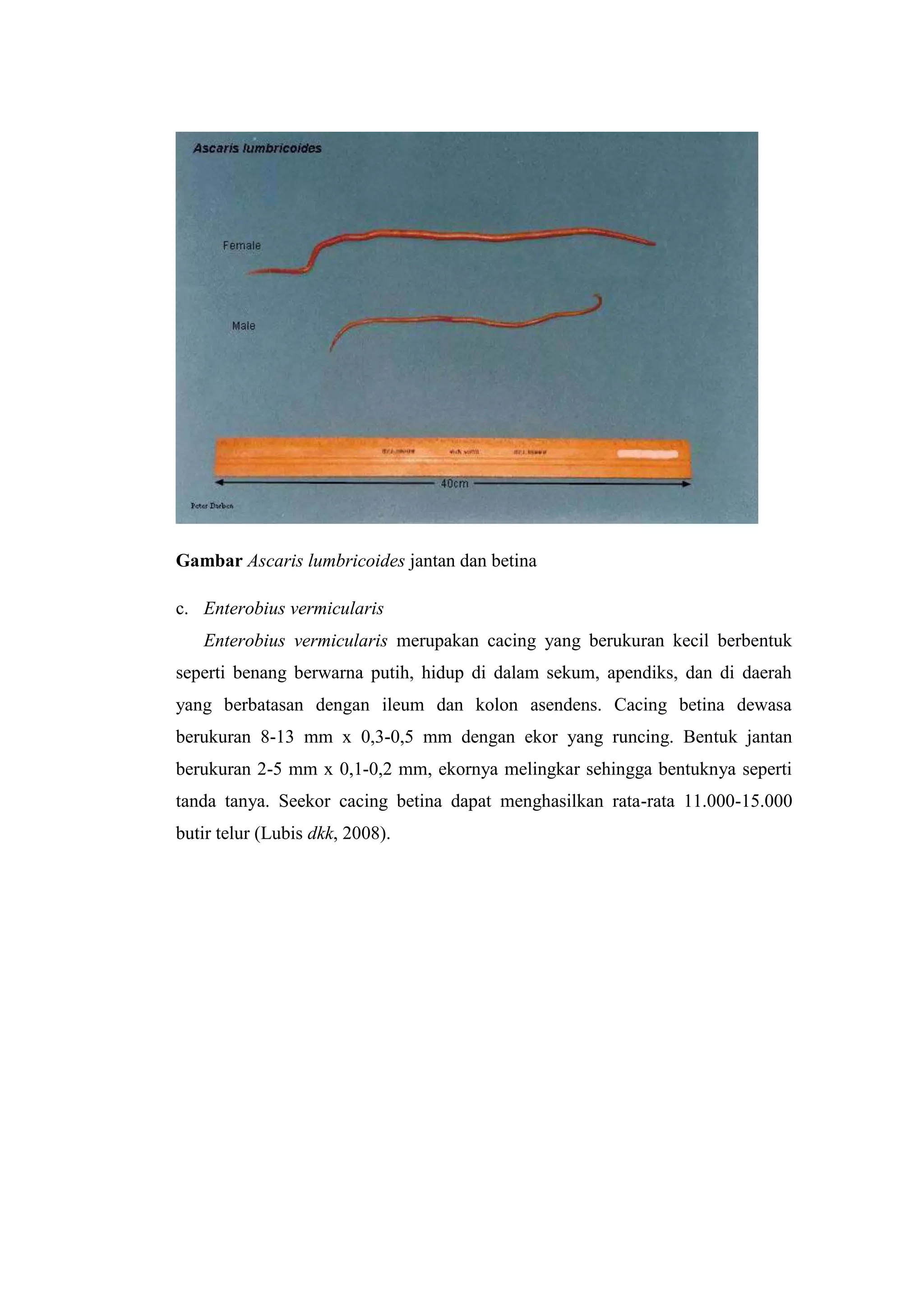 LAPORAN PRAKTIKUM PARASITOLOGI DASAR 1 | DOCX