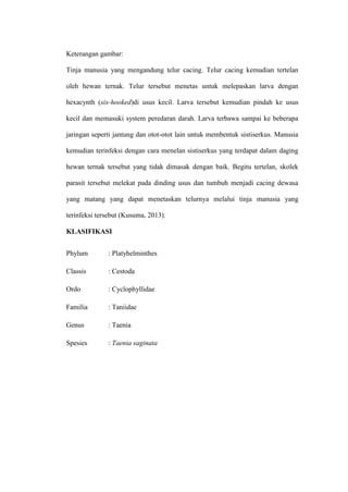 LAPORAN PRAKTIKUM PARASITOLOGI DASAR 1 | DOCX