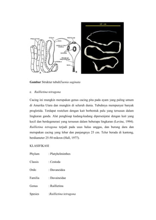 LAPORAN PRAKTIKUM PARASITOLOGI DASAR 1 | DOCX