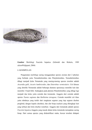 LAPORAN PRAKTIKUM PARASITOLOGI DASAR 1 | DOCX