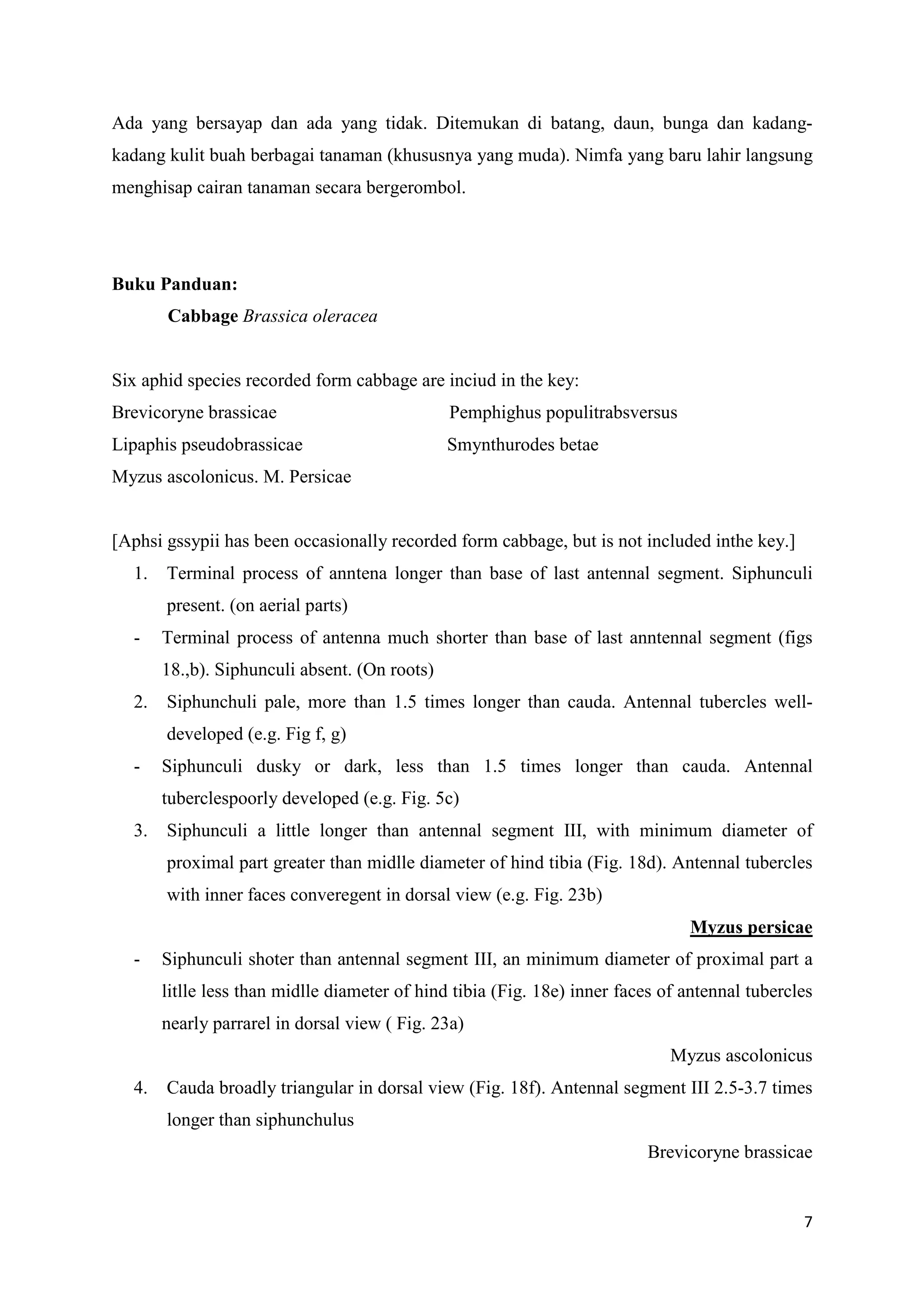 IDENTIFIKASI DAN TAKSONOMI SERANGGA JENIS KUTU DAUN PADA DAUN KUBIS | PDF