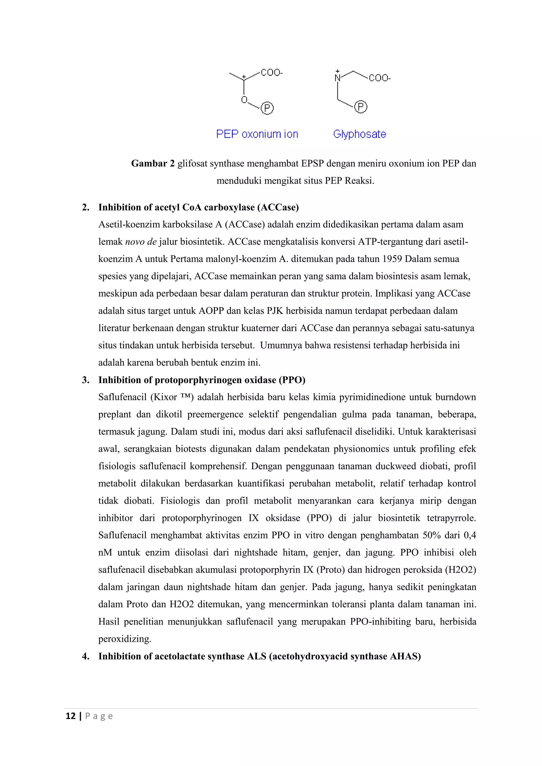 Makalah_36 Laporan praktikum akhir gulma | DOCX