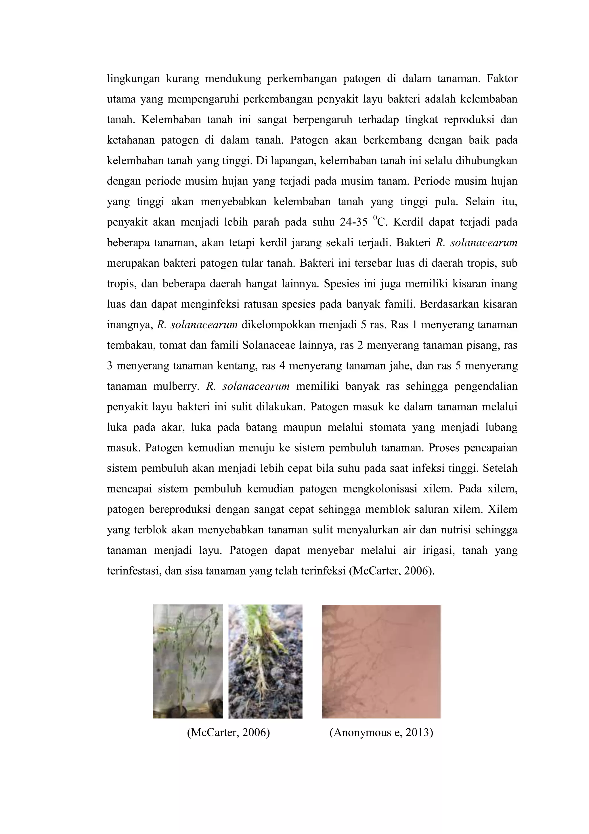 Laporan praktikum bakteriologi pertanian | DOCX