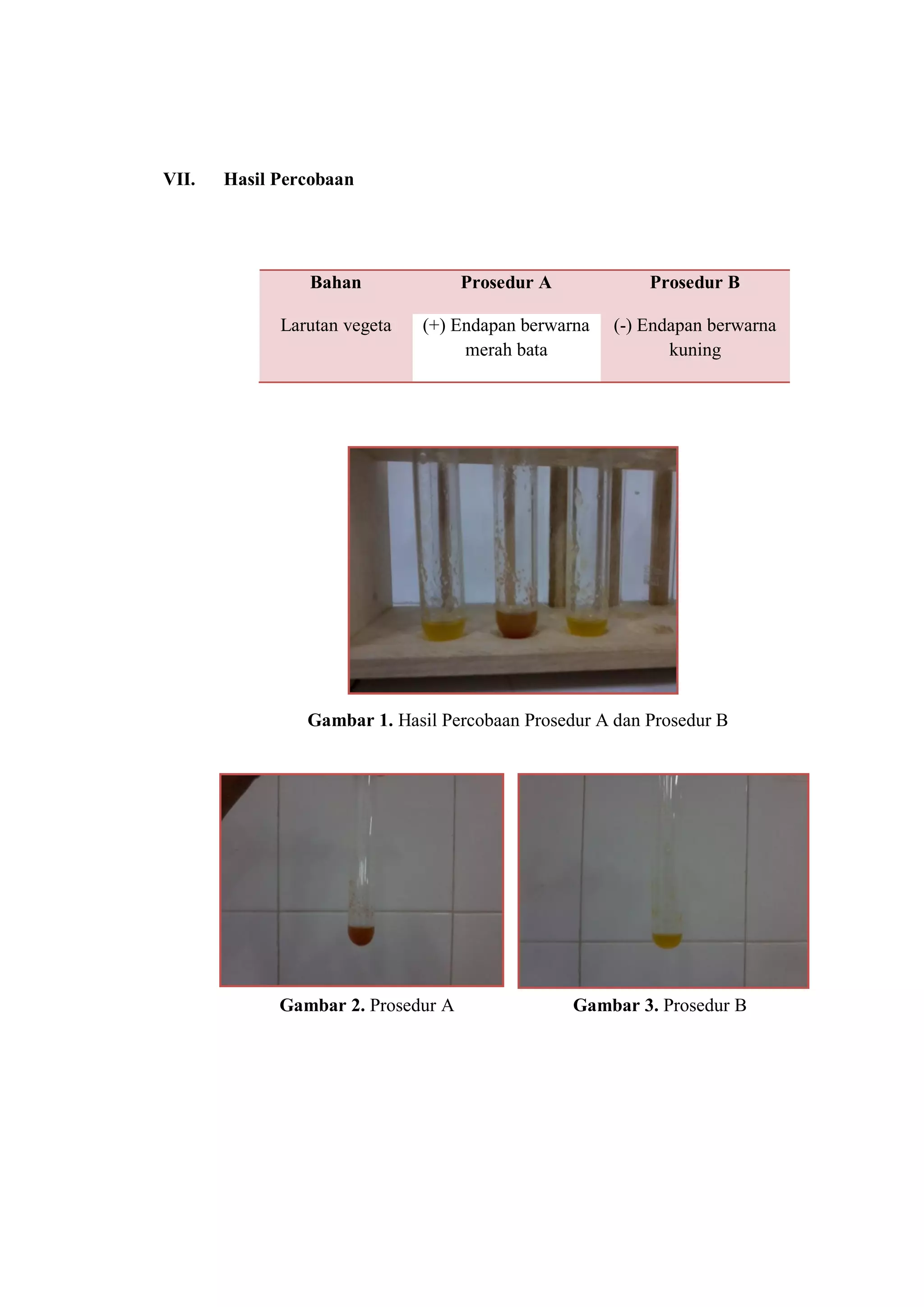 Laporan praktikum biokimia vitamin c | PDF