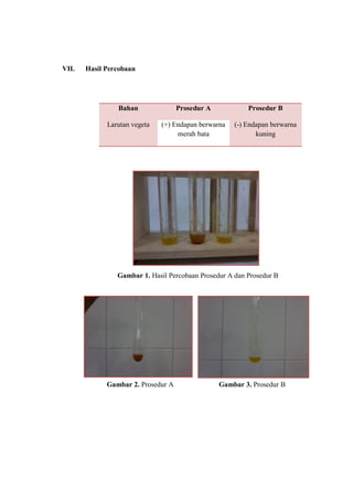 Laporan praktikum biokimia vitamin c | PDF