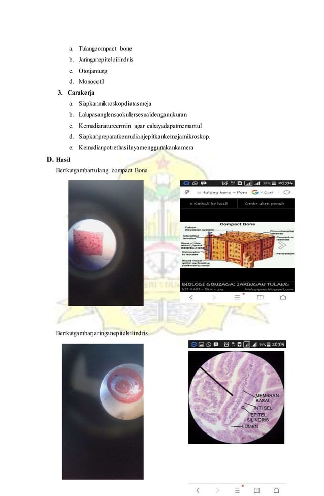 Laporan praktikum biologi | DOCX